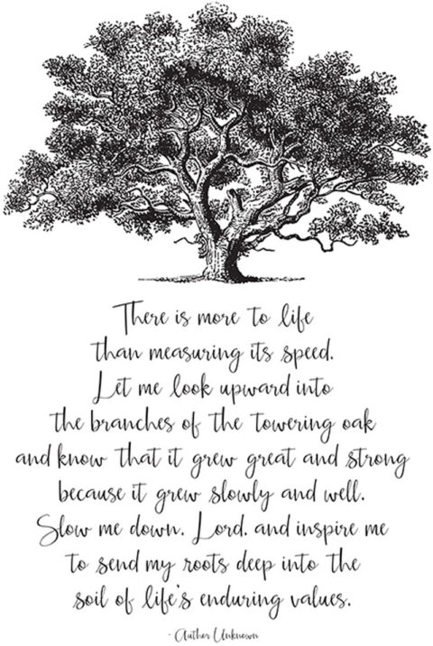 Brooke Hall - Paces Ferry Builders